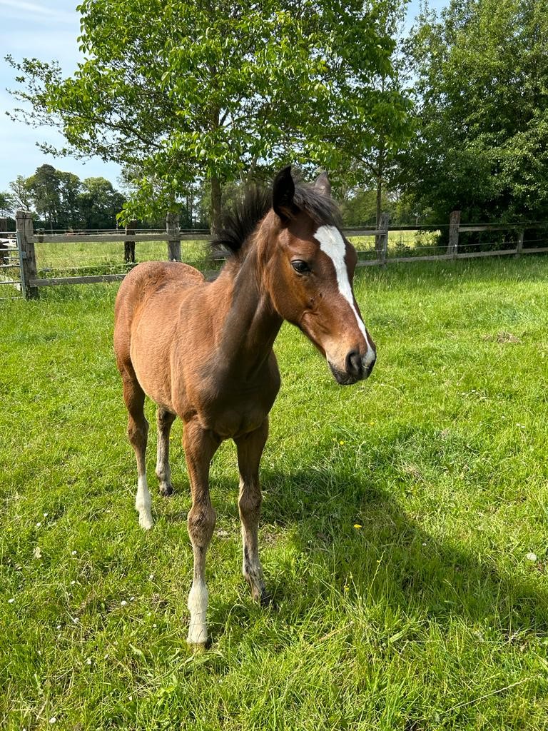 Uncovering Executive Faculty: In the Atelier with Christopher Hogg ...